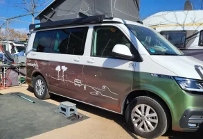 Two tone swamper | VW T6 Transporter Forum